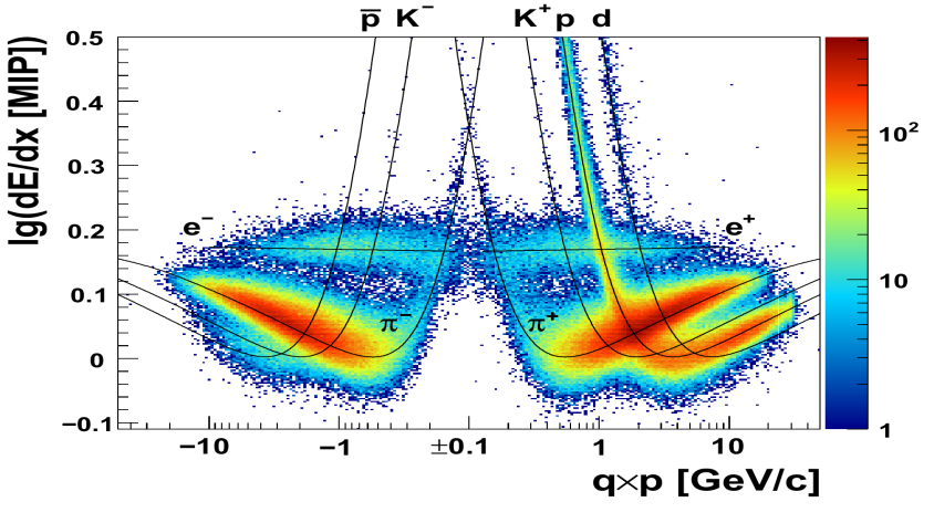 Negative Logarithmic Graph