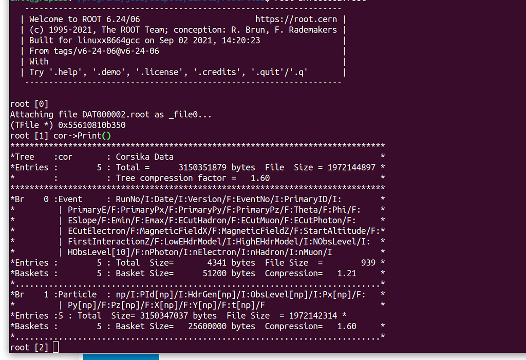 *Break* segmentation violation and failed to access leaf in array from tree contains CORSIKA ...