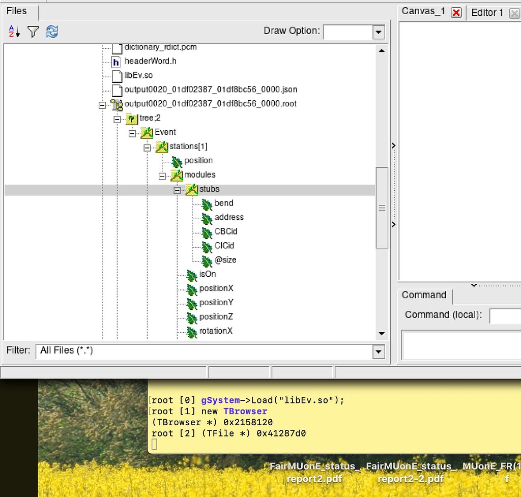 Wrong number of elements for an array, member of a myclass element in a TTree - ROOT - ROOT Forum